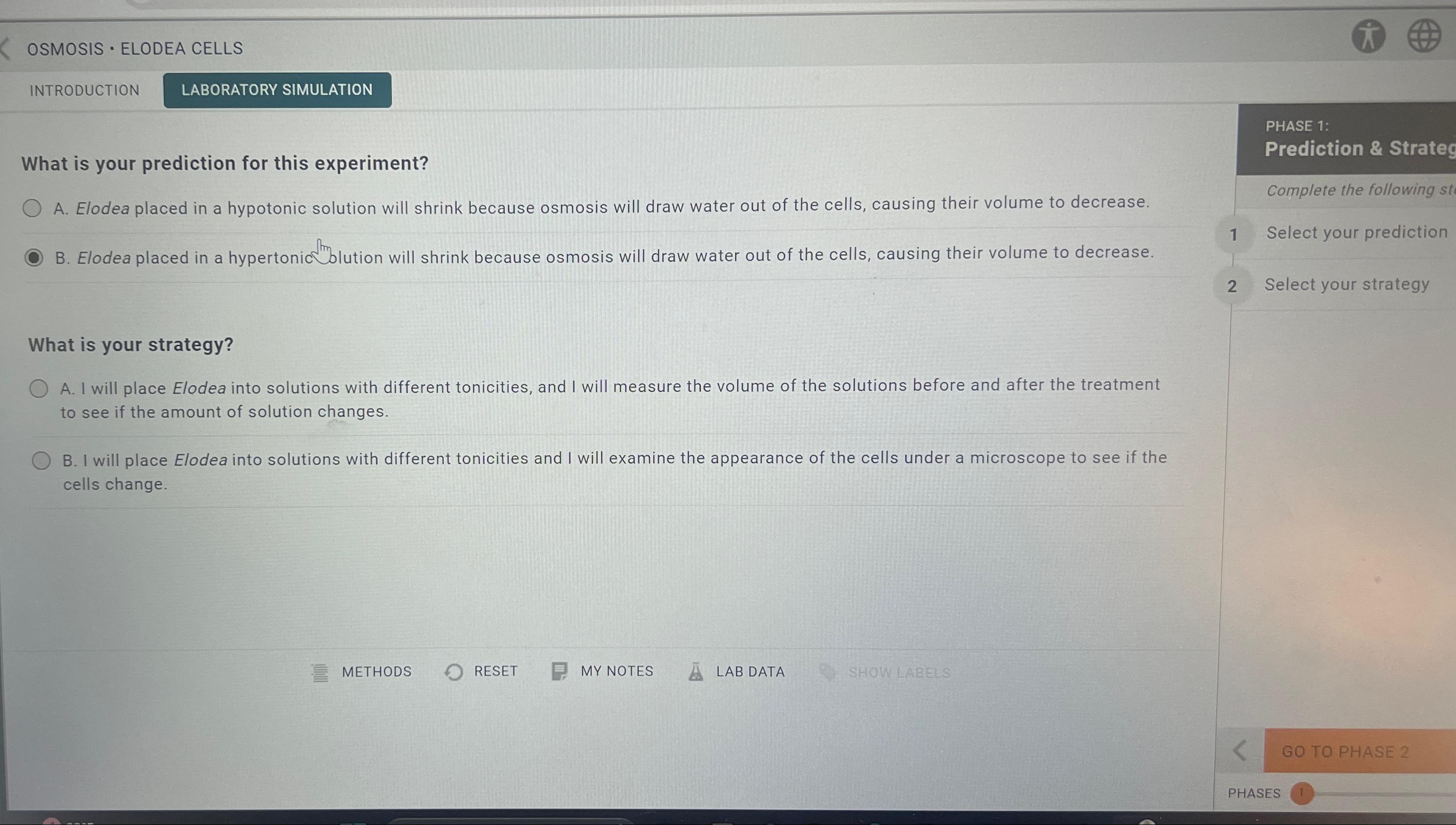 Solved OSMOSIS * ﻿ELODEA CELLSINTRODUCTIONWhat is your | Chegg.com