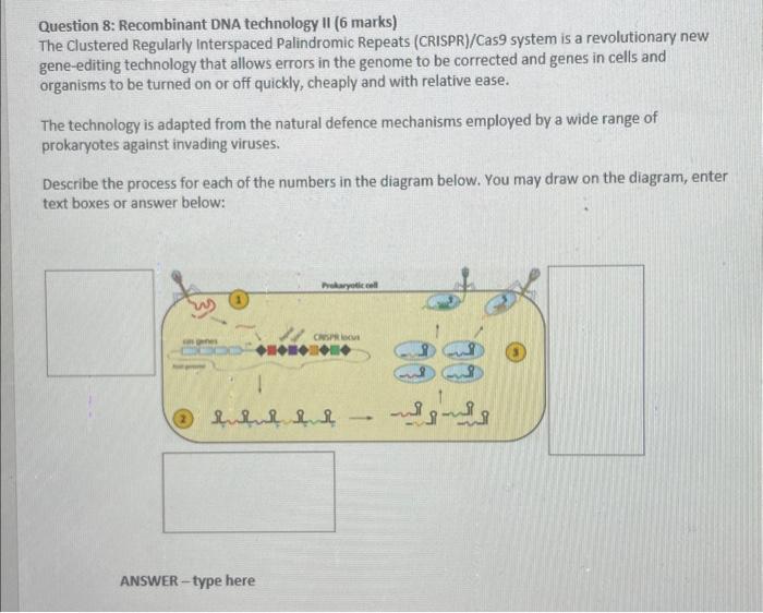 Solved Question 8: Recombinant DNA technology II ( 6 marks) | Chegg.com