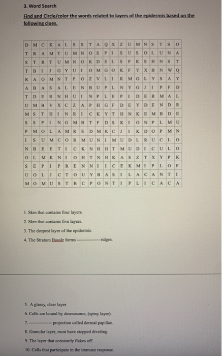 Solved 3. Word Search Find and Circle/color the words | Chegg.com