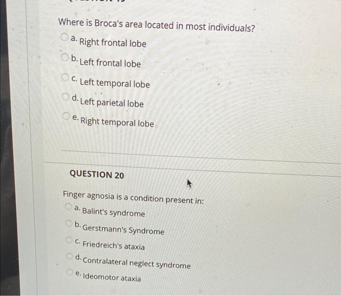 Solved Where is Broca's area located in most individuals? | Chegg.com