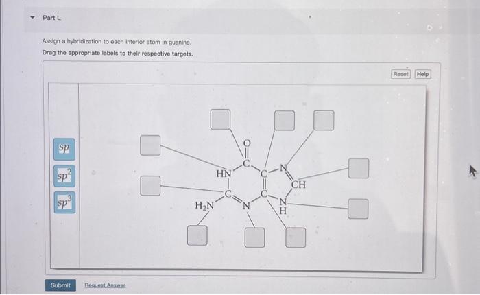 Solved Part L Assign a hybridization to each interior atom | Chegg.com