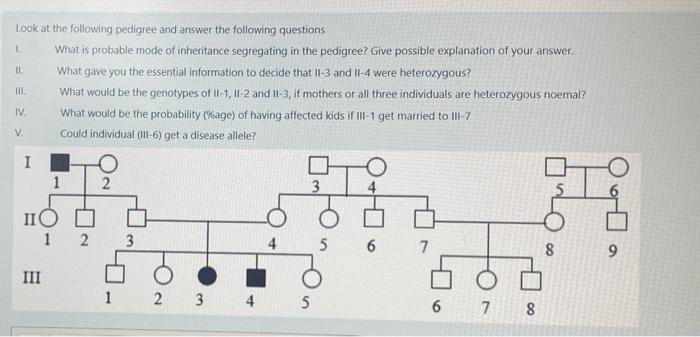 Solved Look at the following pedigree and answer the | Chegg.com