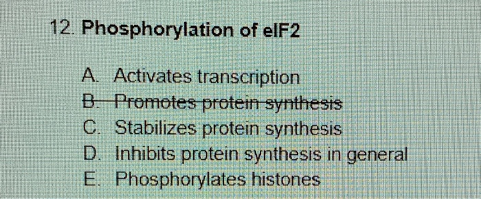 Solved 12. Phosphorylation of elF2 Activates transcription | Chegg.com