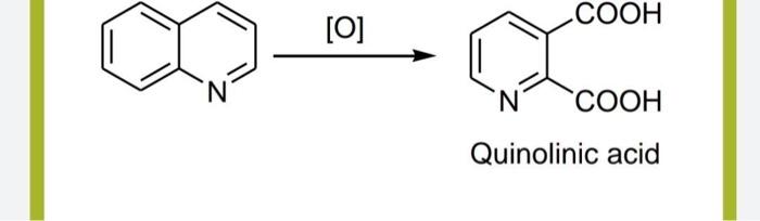 Solved When we did the oxidation of quinoline, one compound | Chegg.com