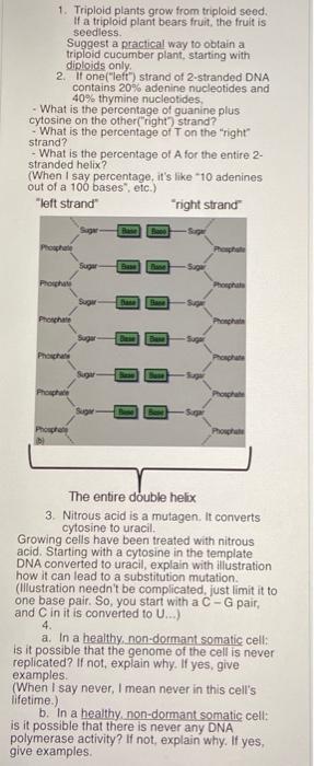 Solved 1. Triploid plants grow from triploid seed. If a | Chegg.com