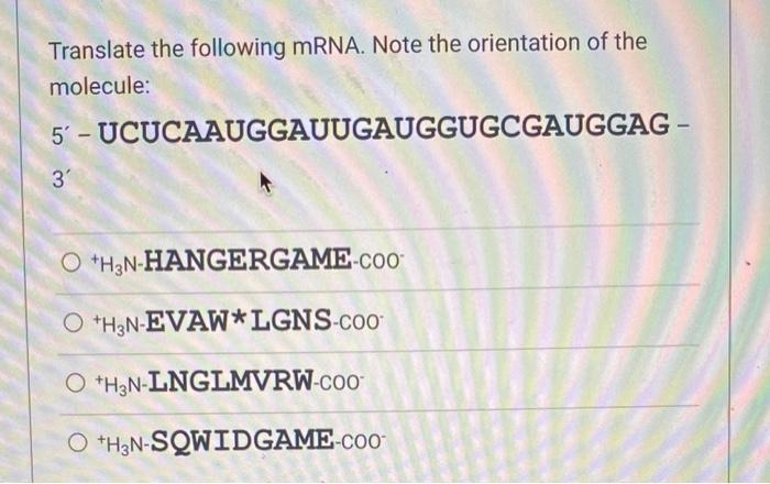 Solved Translate the following mRNA. Note the orientation of | Chegg.com