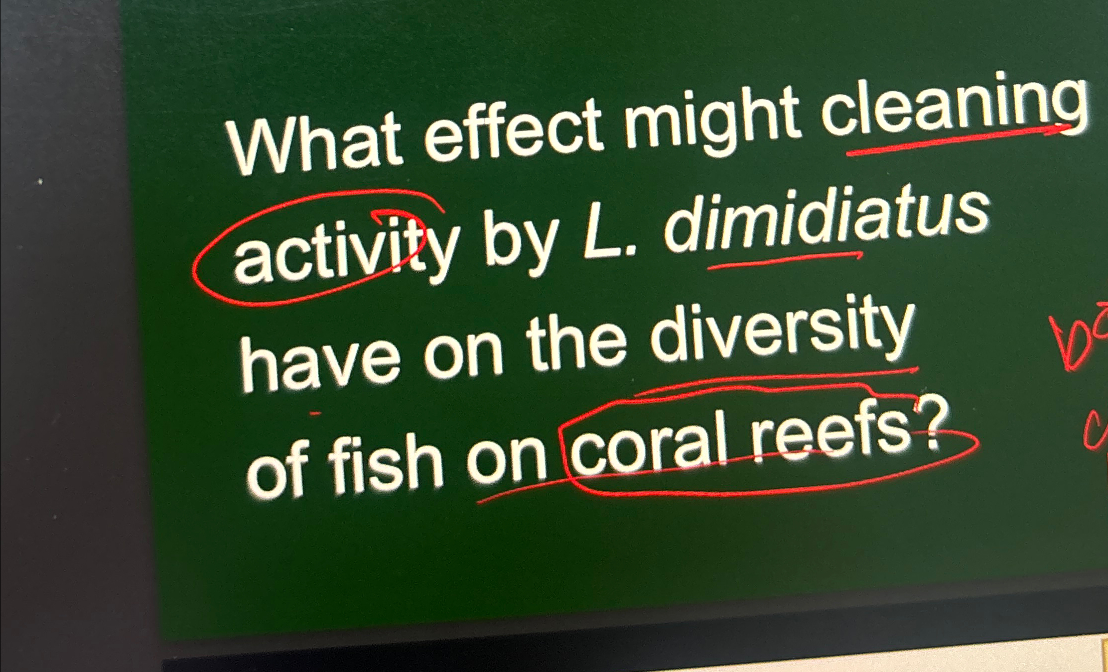 Solved What effect might cleaning activity by L. ﻿dimidiatus | Chegg.com