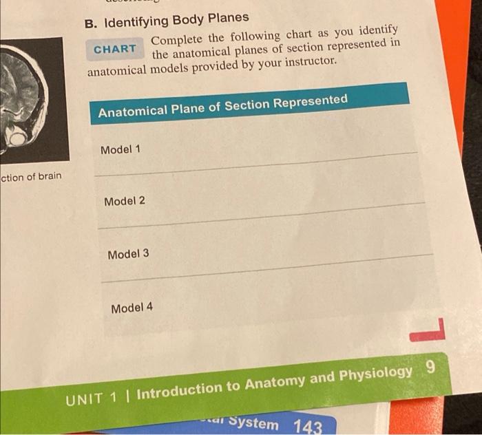 Solved B. Identifying Body Planes CHART Complete the | Chegg.com
