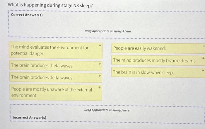 Solved What is happening during stage N3 sleep? Correct | Chegg.com