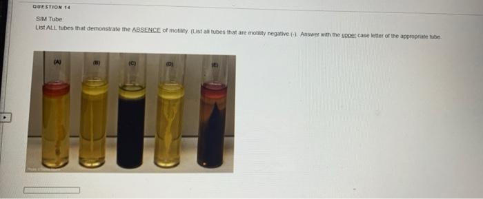 Solved QUESTION 14 SIM Tube List ALL tubes that demonstrate | Chegg.com