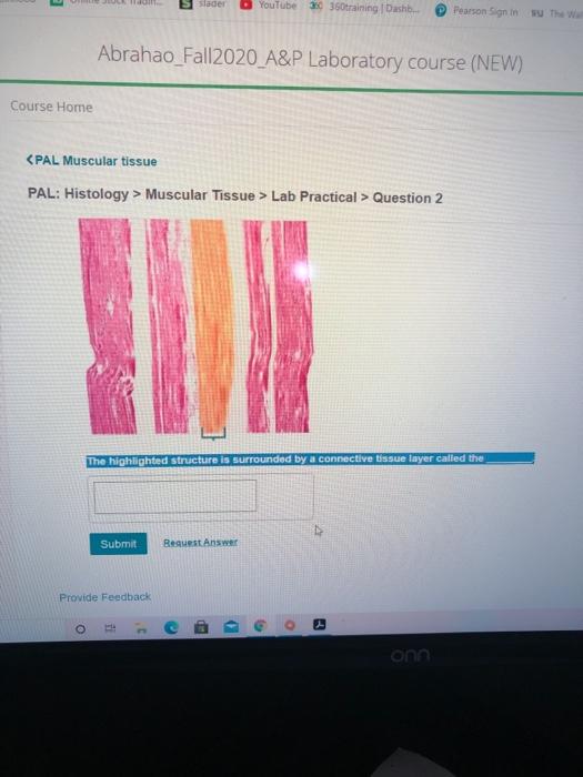 Solved Slader YouTube 360training I Dashb Pearson Sign in | Chegg.com