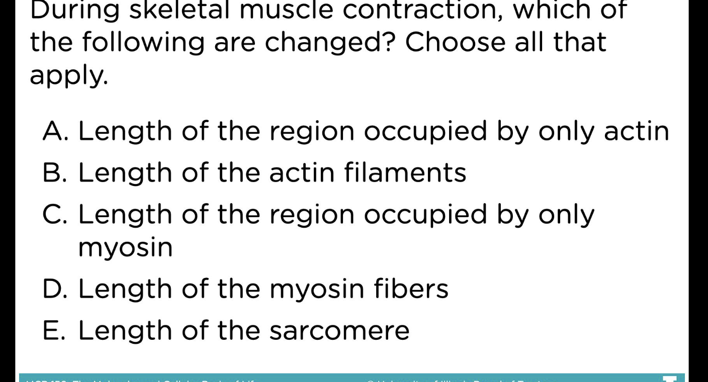 Solved During skeletal muscle contraction, which of the | Chegg.com