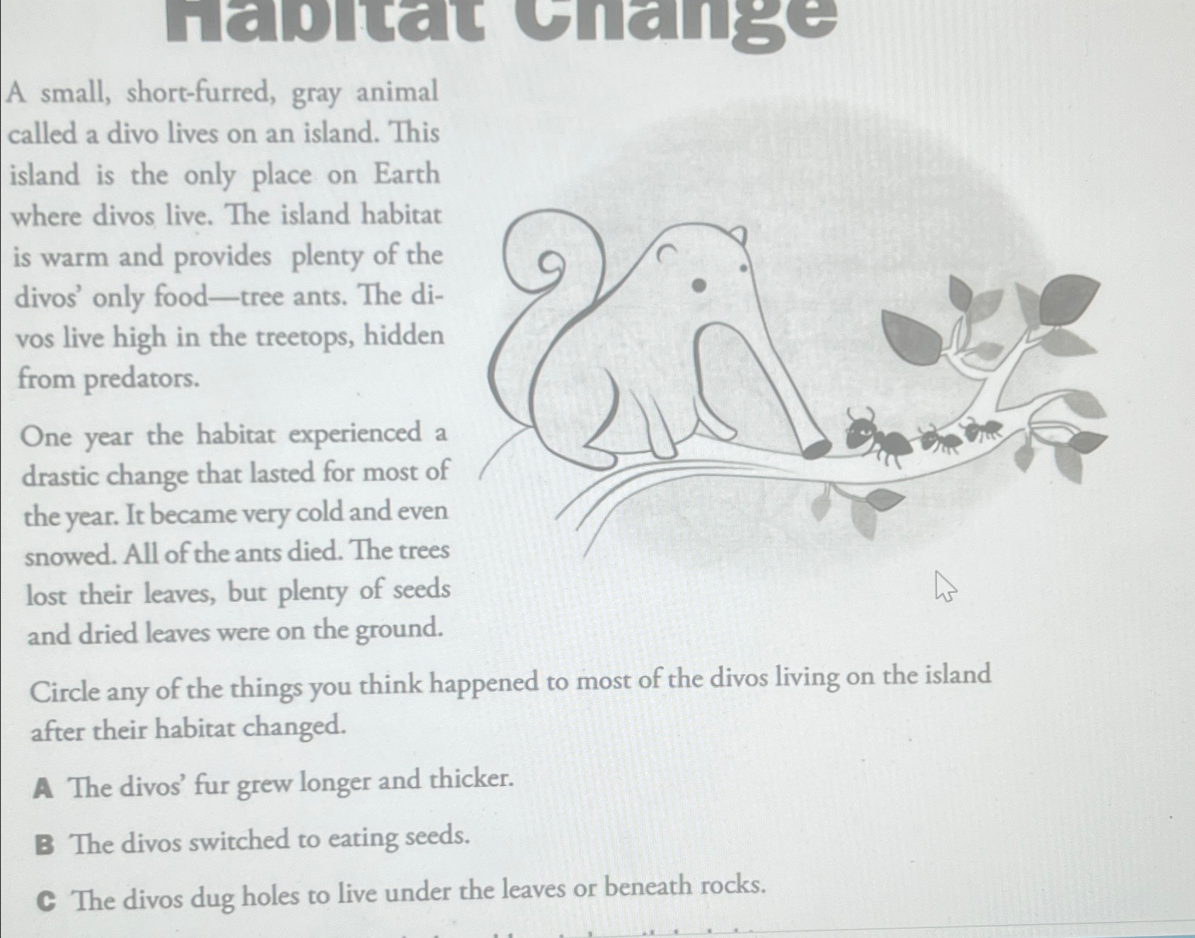 Solved A small, short-furred, gray animal called a divo | Chegg.com