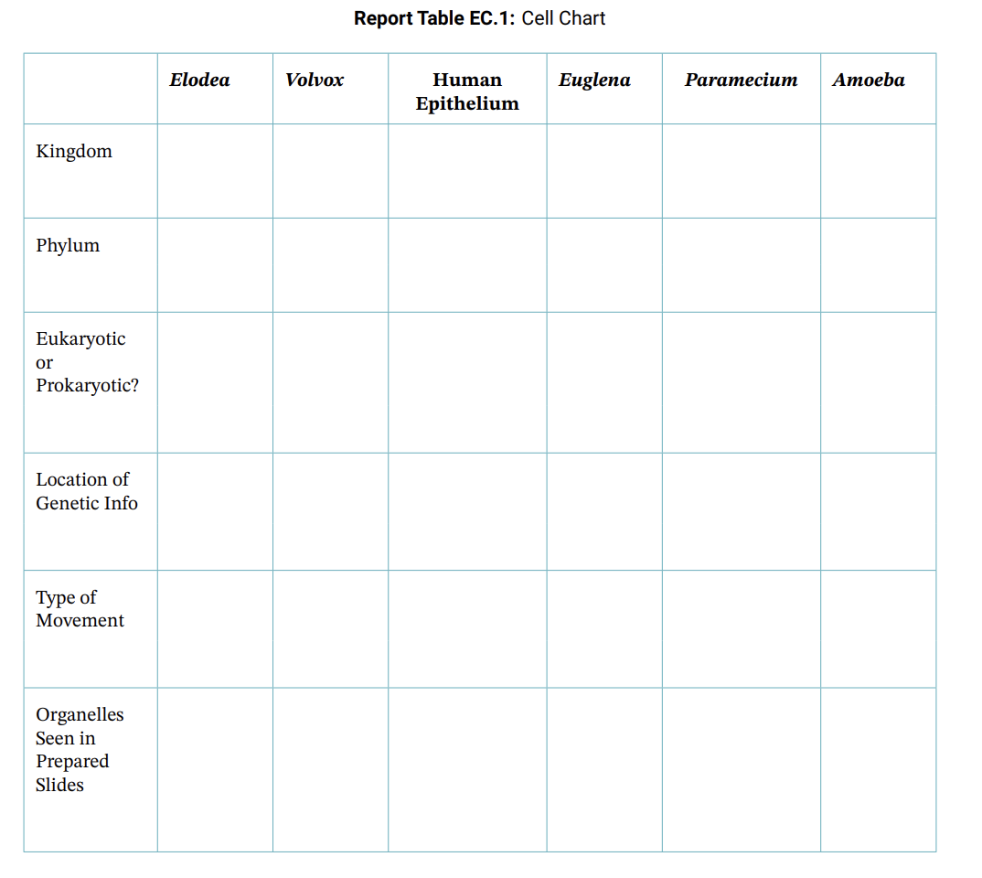 Solved Report Table EC.1: Cell Chart | Chegg.com