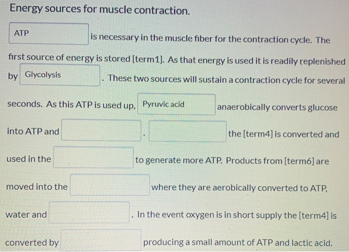 Solved Energy sources for muscle contraction. ATP is | Chegg.com