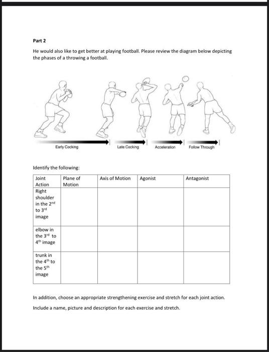 Phases Of Throwing A Football