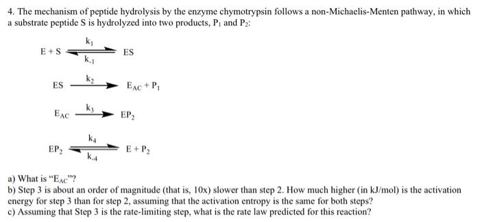 Solved 4. The mechanism of peptide hydrolysis by the enzyme | Chegg.com