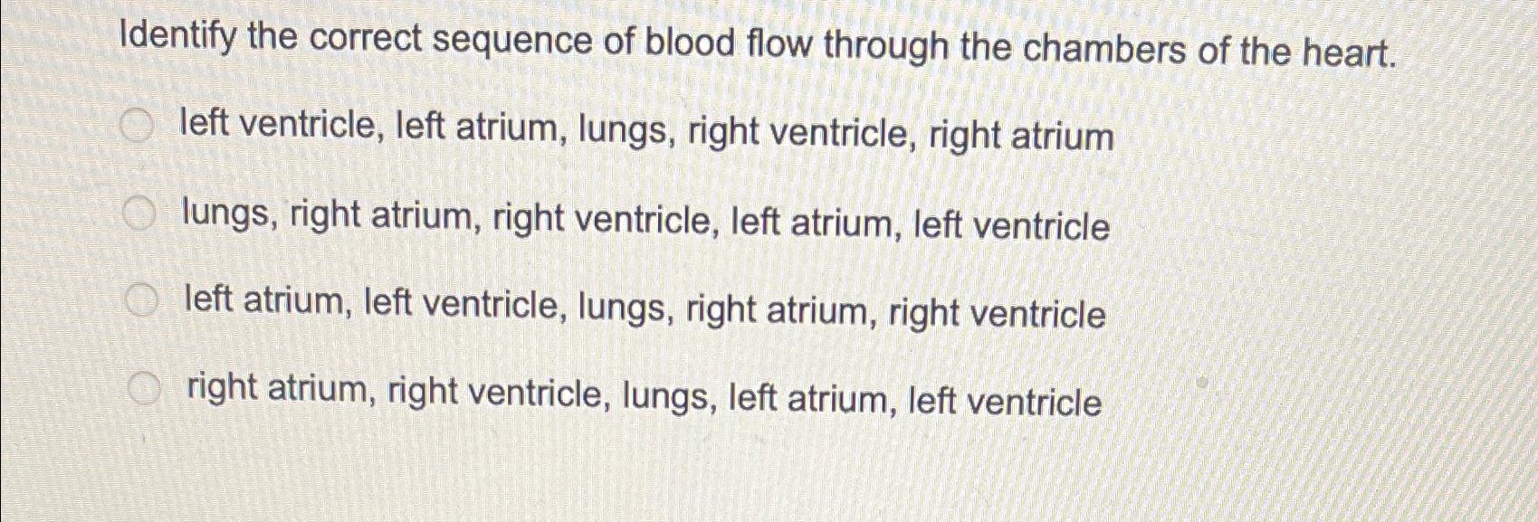 Solved Identify the correct sequence of blood flow through | Chegg.com