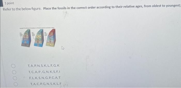 1 point Refer to the below figure. Place the fossils | Chegg.com