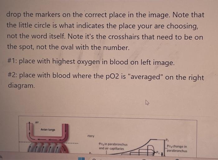 Solved drop the markers on the correct place in the image. | Chegg.com