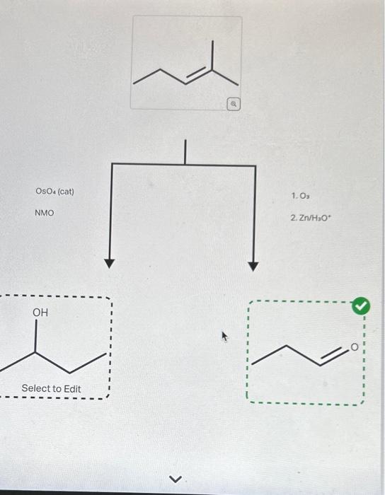 Solved A common alkene starting material is shown below. | Chegg.com