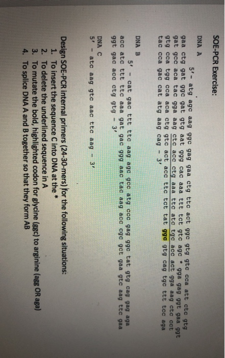 Solved SOE-PCR Exercise: DNA A 5' - atg age aag ggc gag gaa | Chegg.com