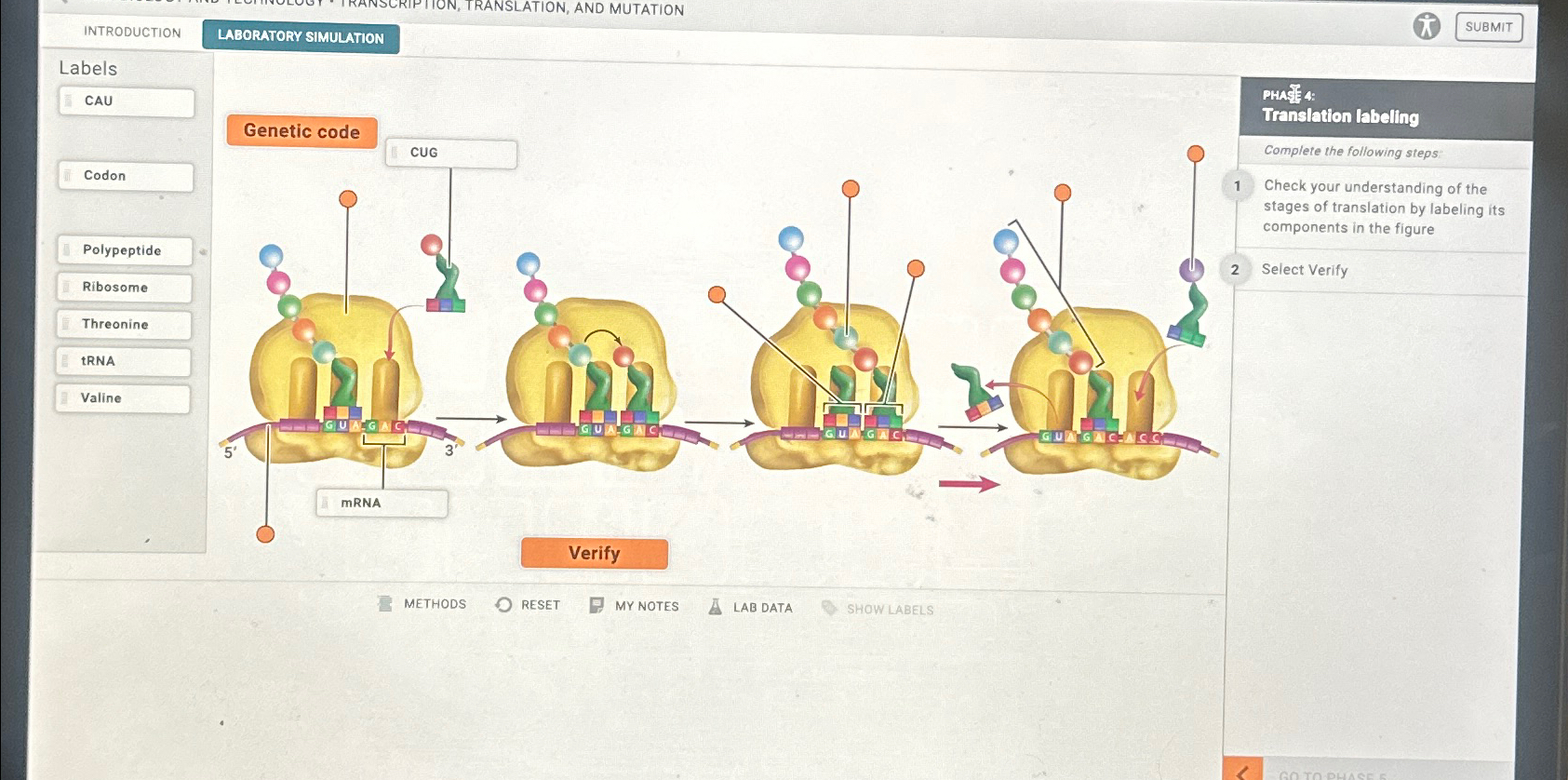 Solved Can u you please answwr this | Chegg.com Solved Can u you please answwr this | Chegg.com