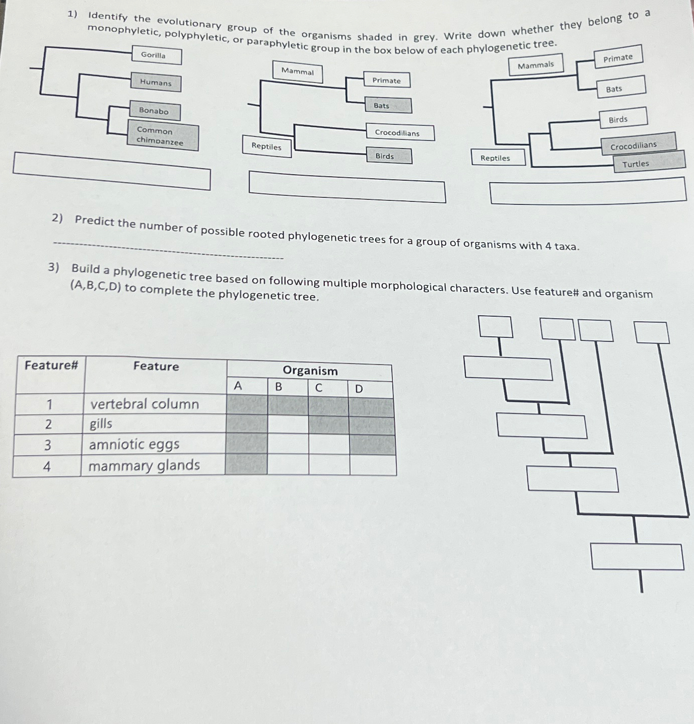 Solved monophyletir nal...' ﻿'tic, or paraphyletic group in | Chegg.com