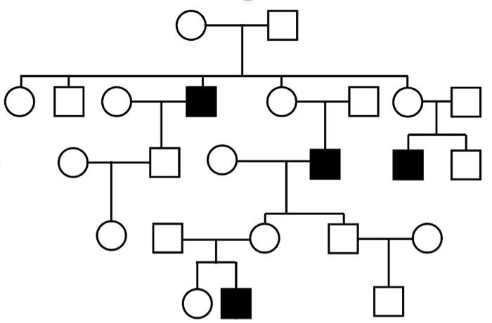 Solved What pattern of inheritance is the trait depicted in | Chegg.com