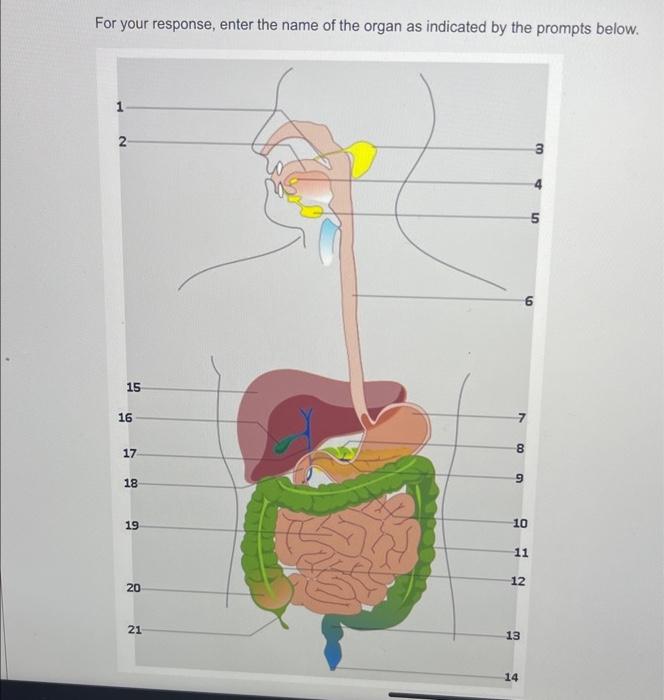 Solved npts below.Identify the organ that is responsible for | Chegg.com