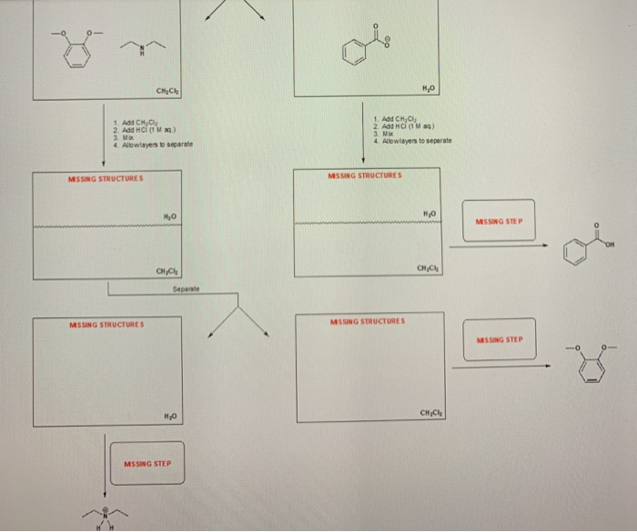 Solved (1) Below is an Extraction Flowchart for the | Chegg.com