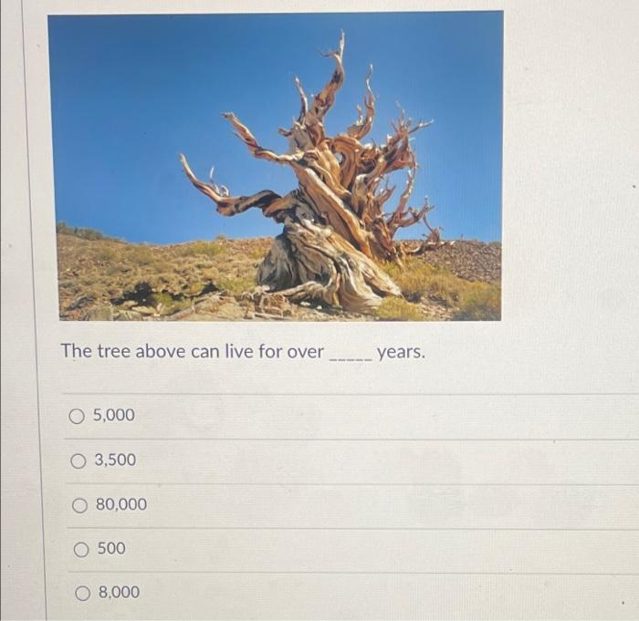 Solved What is dendrochronology? The dating of trees based | Chegg.com