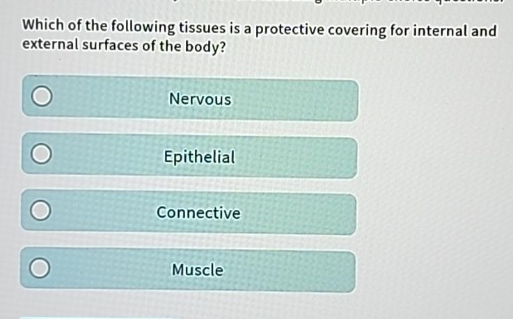 Solved Which of the following tissues is a protective | Chegg.com