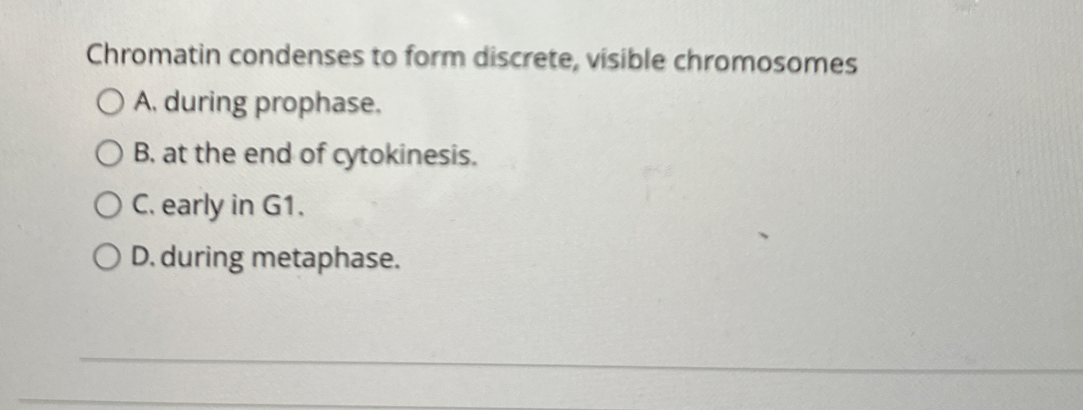 Solved Chromatin condenses to form discrete, visible | Chegg.com