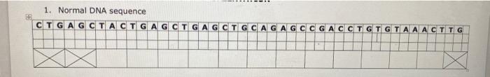 Solved 1. Normal DNA sequence | Chegg.com
