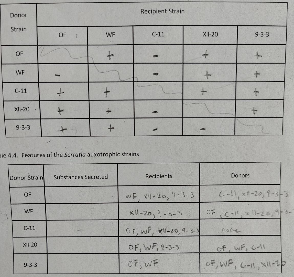 Solved Use this table below to complete a simple branched | Chegg.com