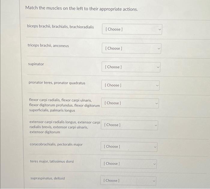 [Solved]: Match the muscles on the left to their appropriat