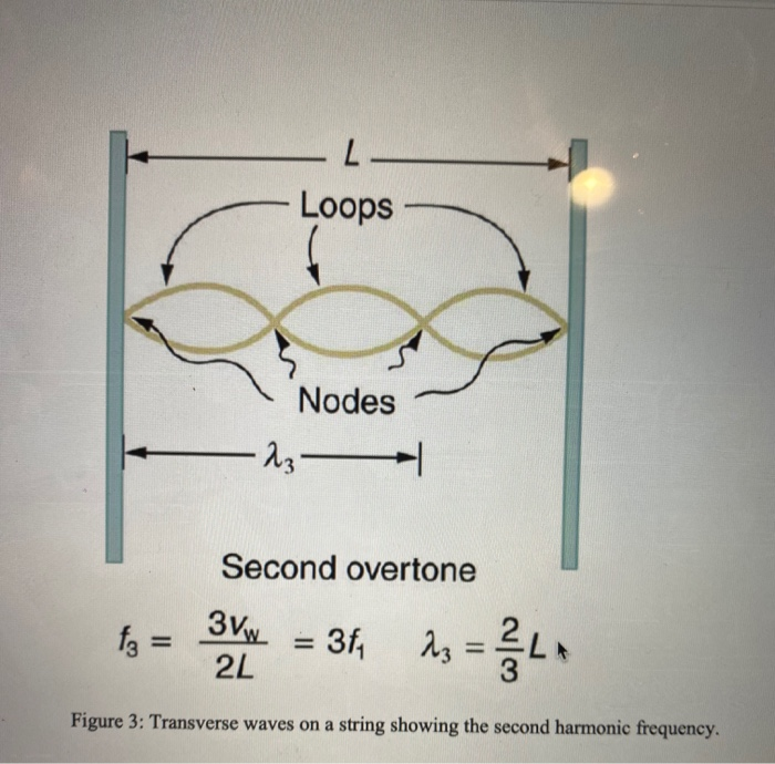 Solved QUESTION 27 Transverse waves on a string are shown in | Chegg.com
