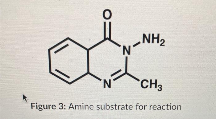 Solved Figure 3: Amine substrate for reaction | Chegg.com