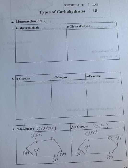 Solved REPORT SHEET LAB 18 Types of Carbohydrates A. | Chegg.com