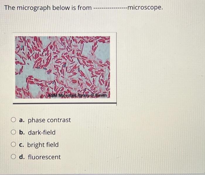 Solved The micrograph below is from microscope. a. phase | Chegg.com