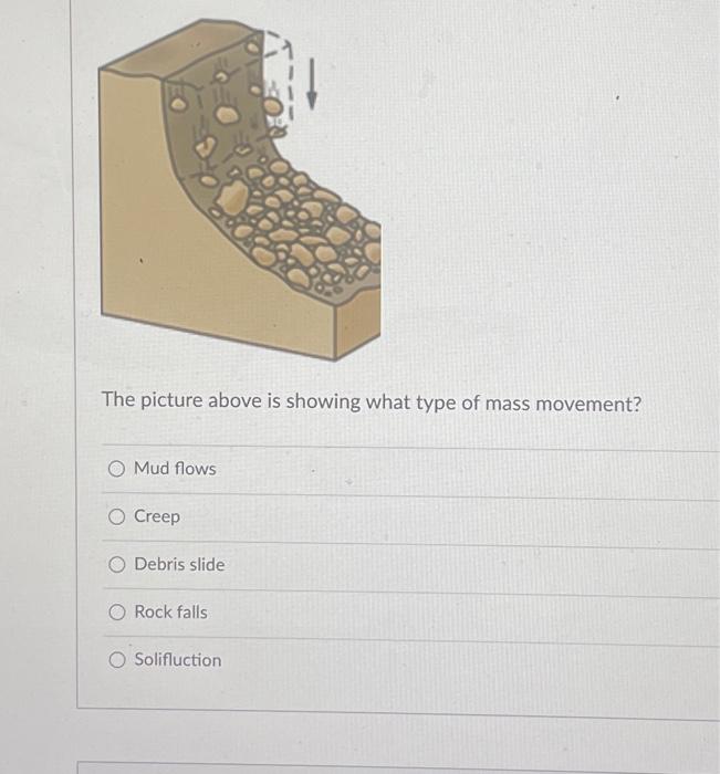 Solved The picture above is showing what type of mass | Chegg.com