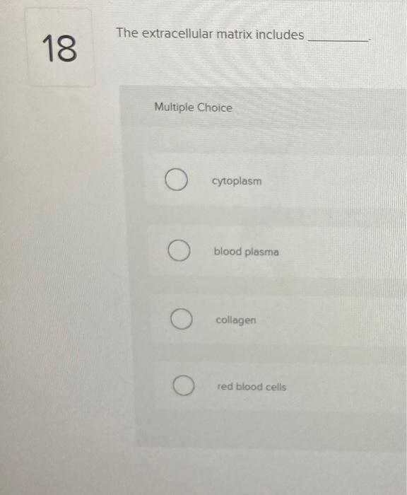 Solved The extracellular matrix includes Multiple Choice | Chegg.com