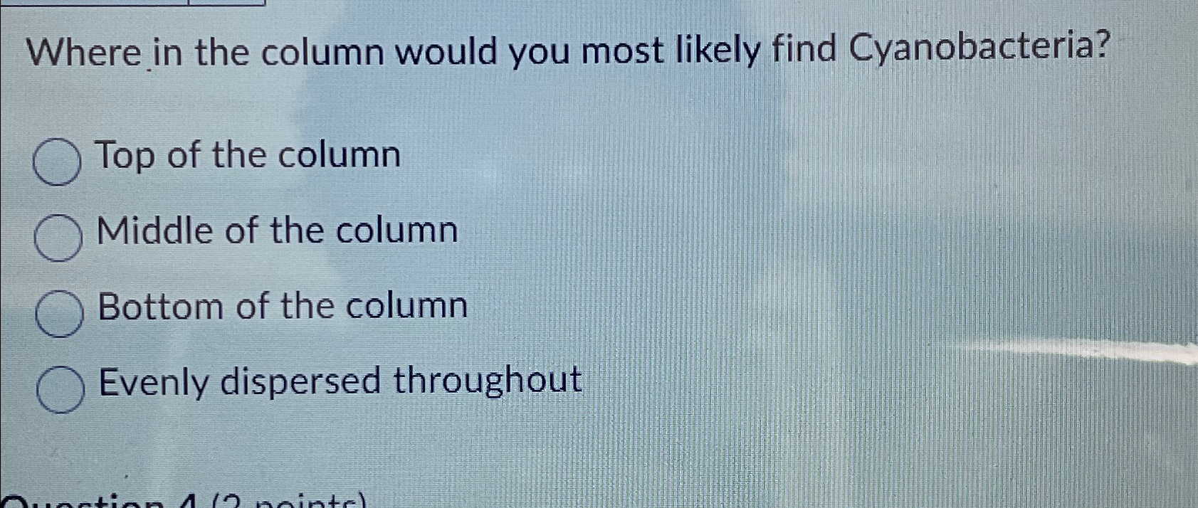 Solved Where in the column would you most likely find | Chegg.com