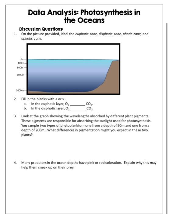 Solved Data Analysis: Photosynthesis in the Oceans The | Chegg.com