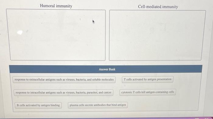 Solved Humoral immunity Cell-mediated immunity Answer Bank | Chegg.com