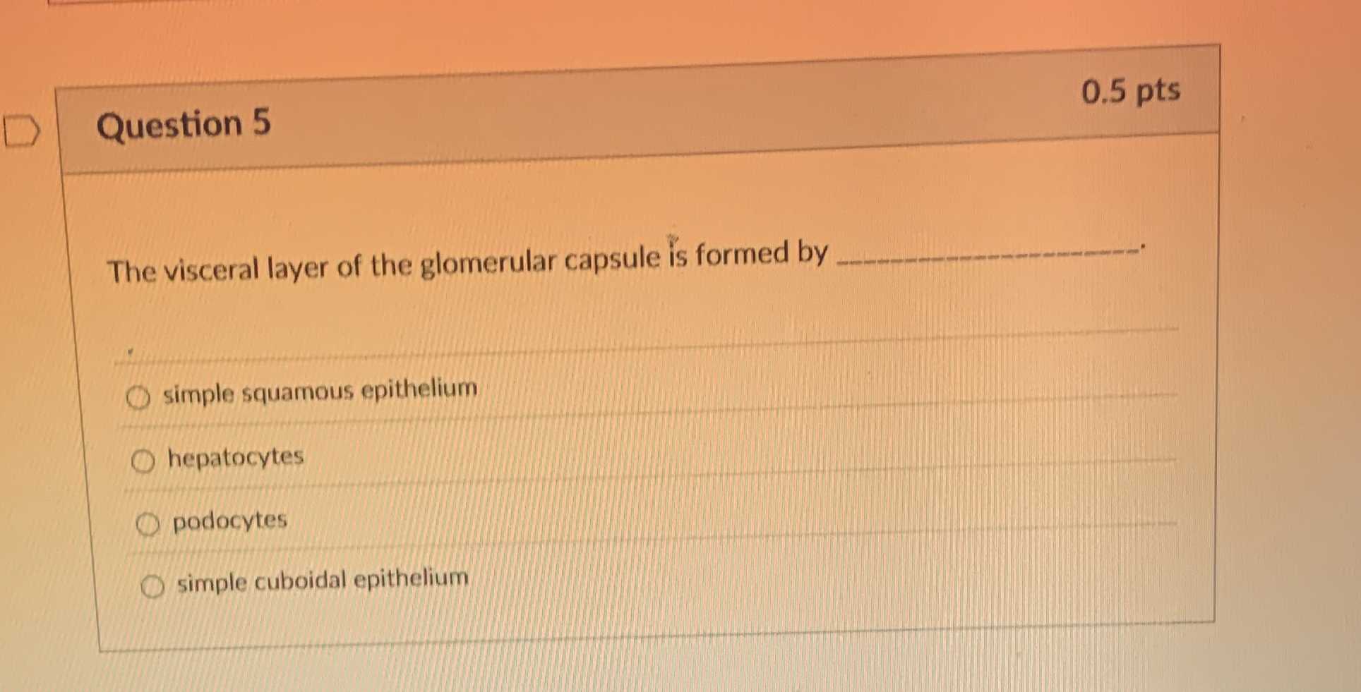 Solved Question 50.5 ptsThe visceral layer of the | Chegg.com Solved Question 50.5 ptsThe visceral layer of the | Chegg.com