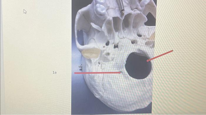 Solved Identify the surface | Chegg.com