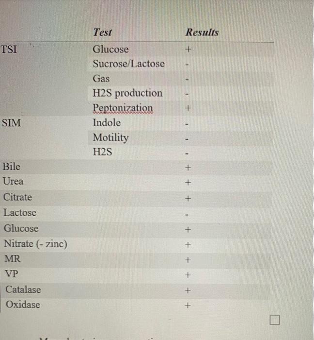 Solved based on these biochemical test results. which gram | Chegg.com