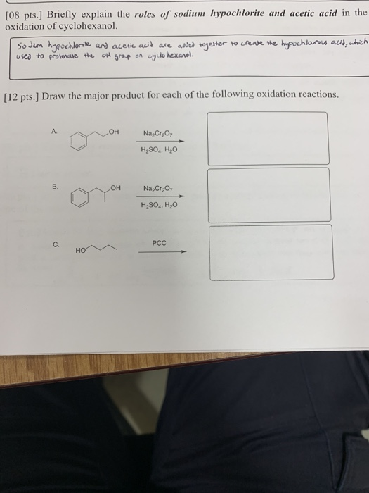 Solved [08 pts.] Briefly explain the roles of sodium | Chegg.com